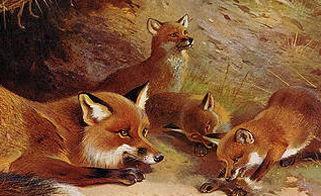 Judges 15: Foxes, Fire, and Jawbones | Grace at Wellington Church